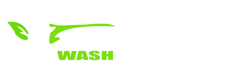 Car Detailing Exterior to Get Rid of Paint Residue: A Complete Guide by ...